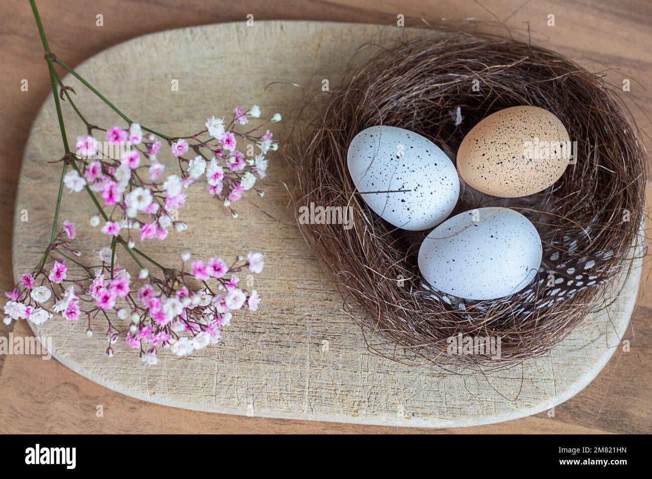 Easter eggs. Happy Easter card. Multi-colored Easter eggs. Easter. Copy ...