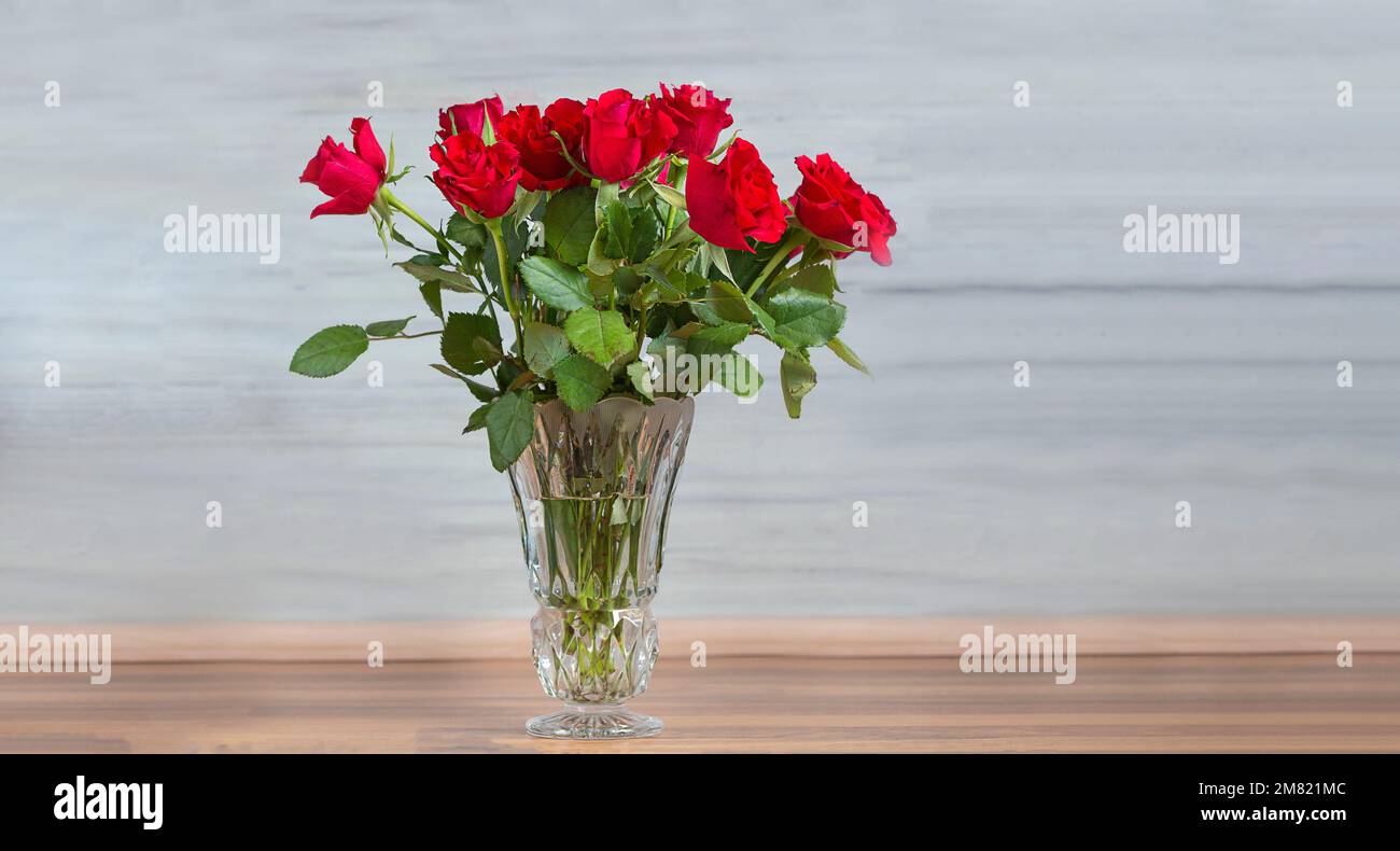 Red roses. beautiful rose flower in a vase. rose flower background ...