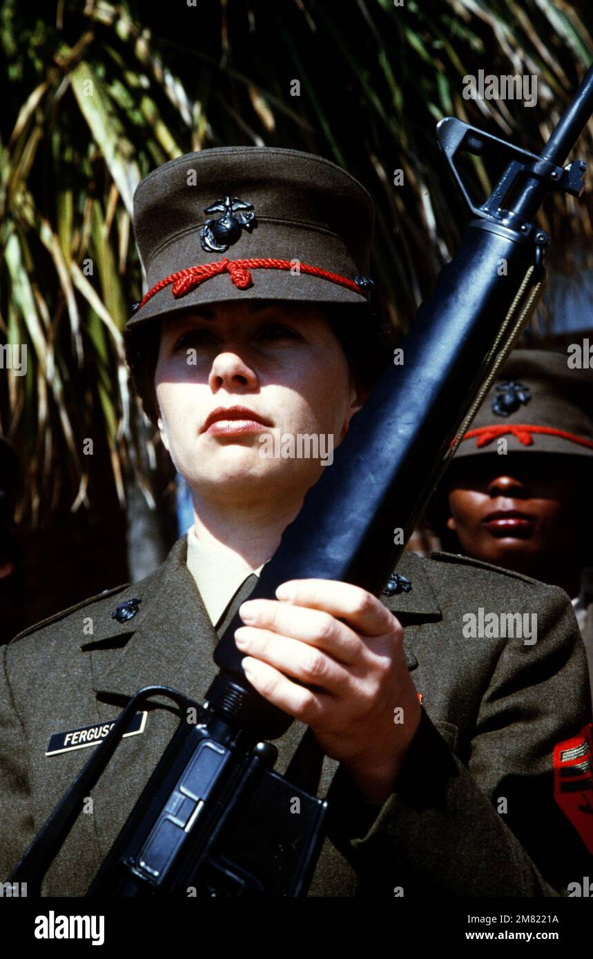 A drill instructor from the Woman Recruit Training Command inspects a ...