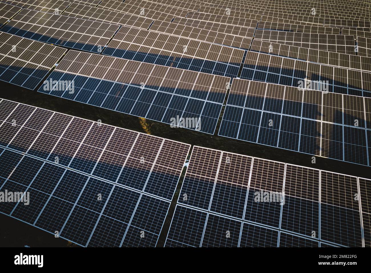 Hundreds of solar panels in a solar farm for renewable energy Stock ...