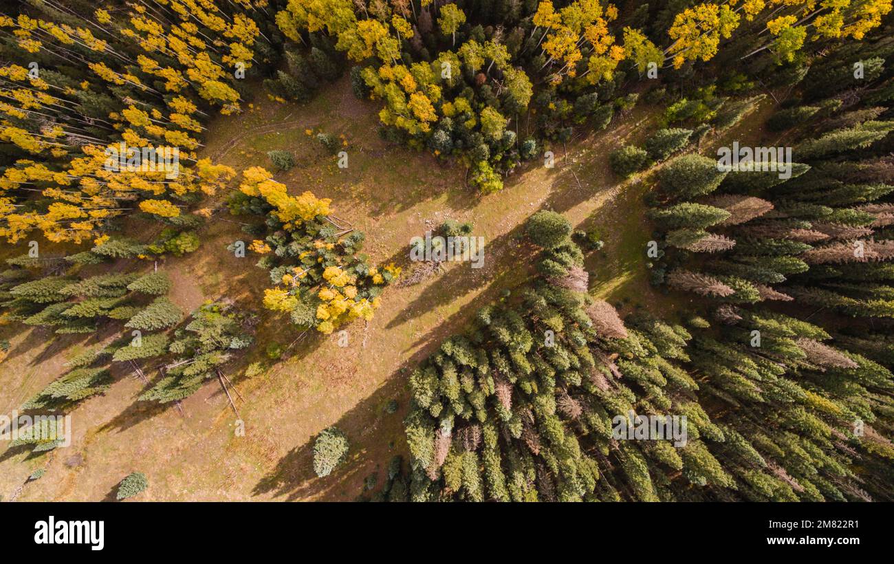 Silver jack reservoir owl hi-res stock photography and images - Alamy