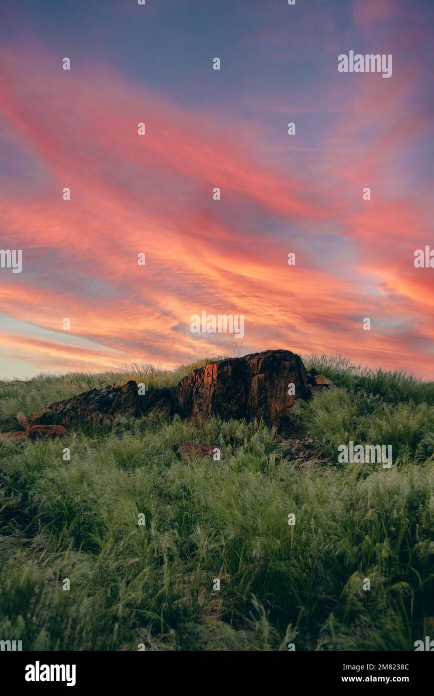 Saudi Arabian desert during the winter season Stock Photo - Alamy