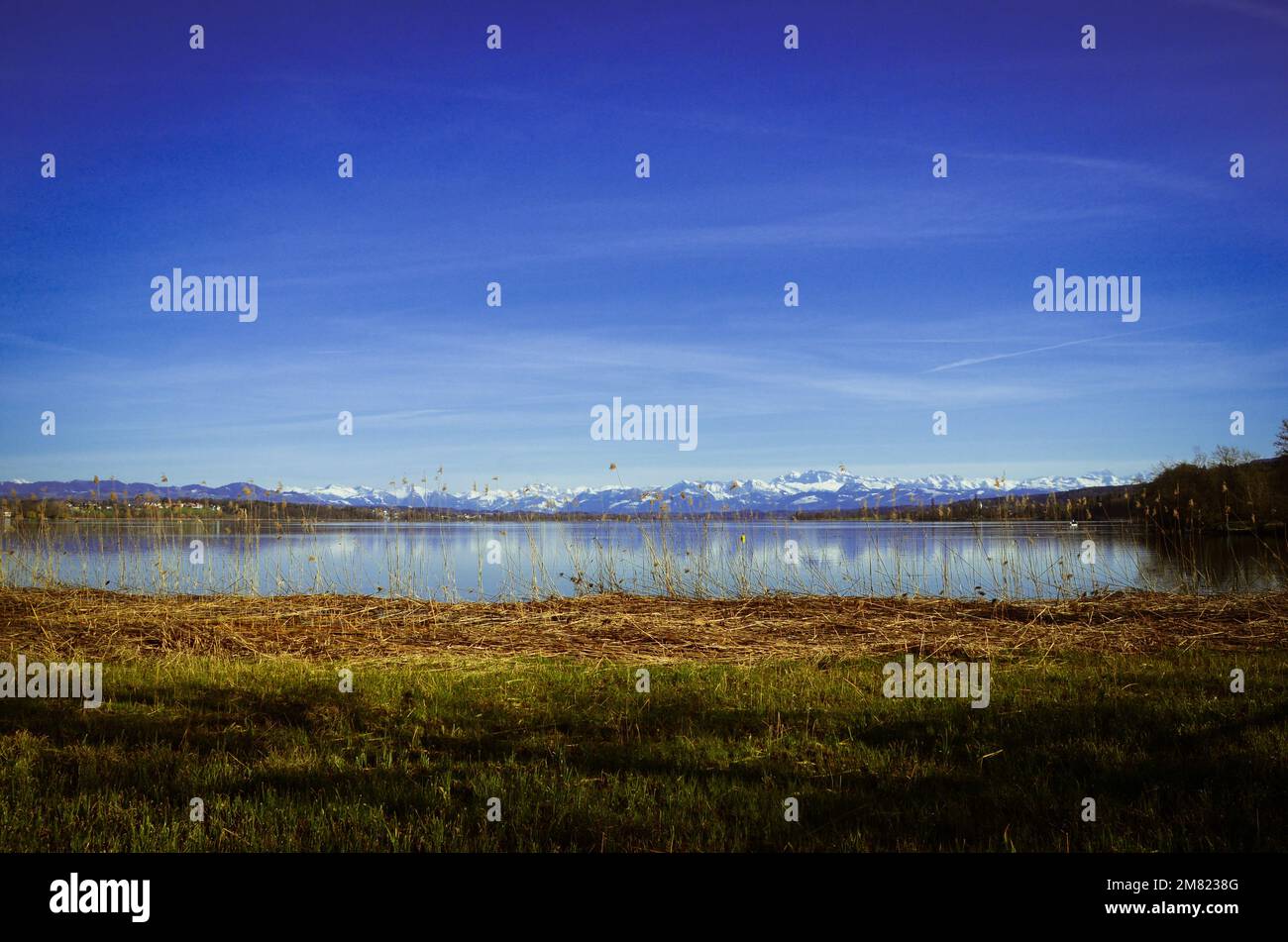 Lake view in Zurich spring Stock Photo - Alamy