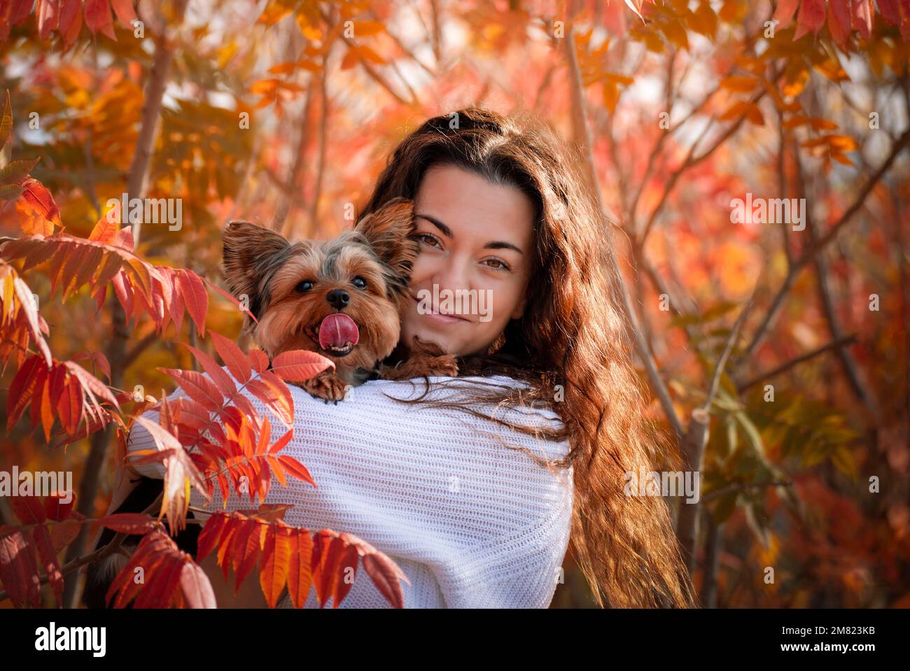 Autumn portrait of a woman with her dog Stock Photo - Alamy