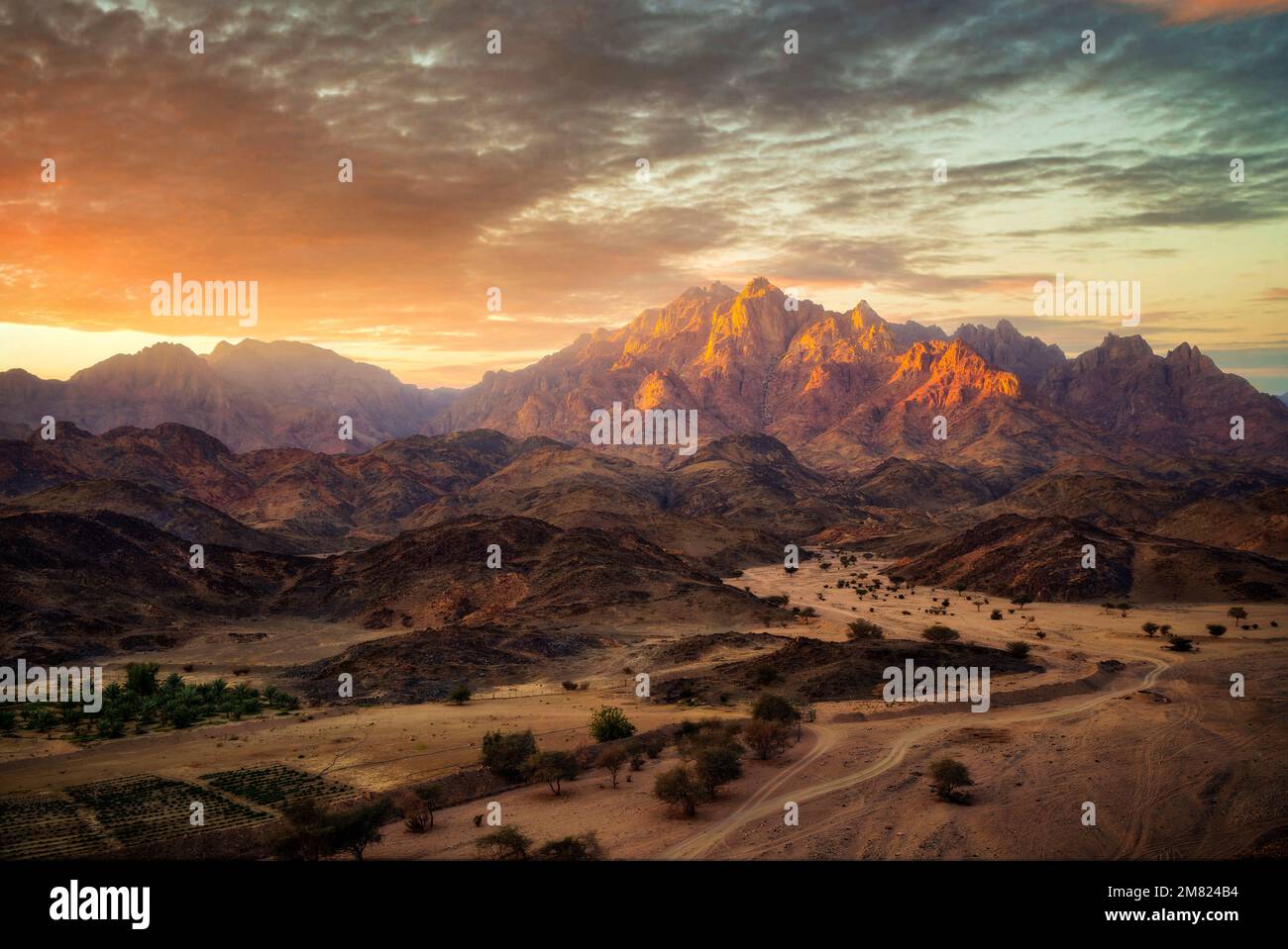 Saudi arabia mountains map