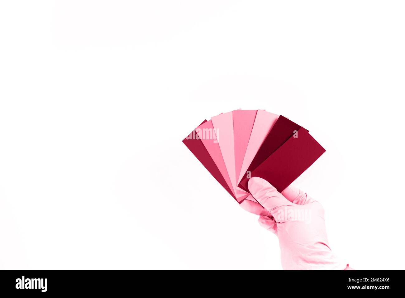 Hand holds a rainbow color palette of paints on a white background ...