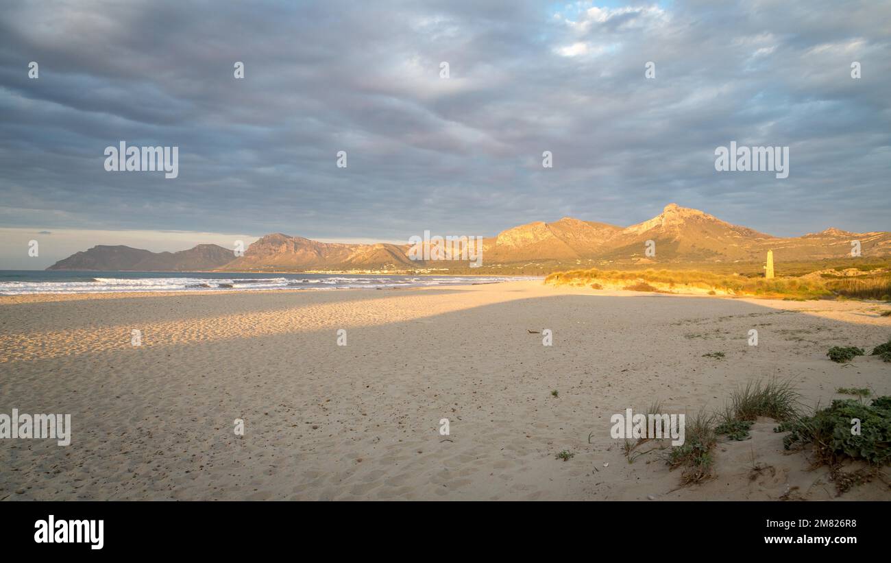 Evening atmosphere at the sandy beach Playa Sa Canova in Son Serra de ...