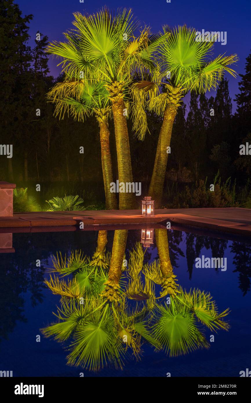 Evening atmosphere by the pool with illuminated palm trees, near Llubi ...