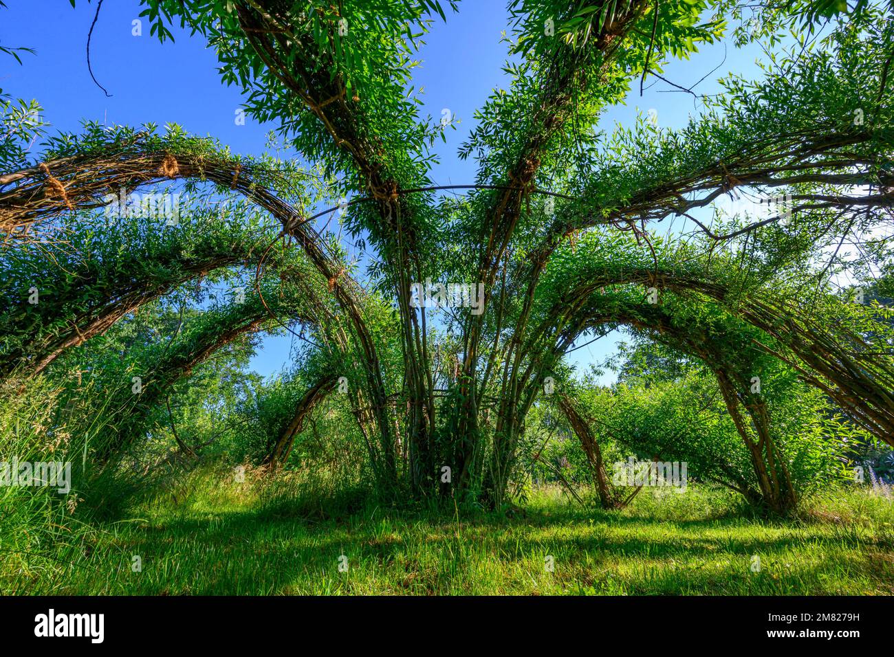 Nature garden of the nature conservation station at Lake Duemmer, Tippi ...