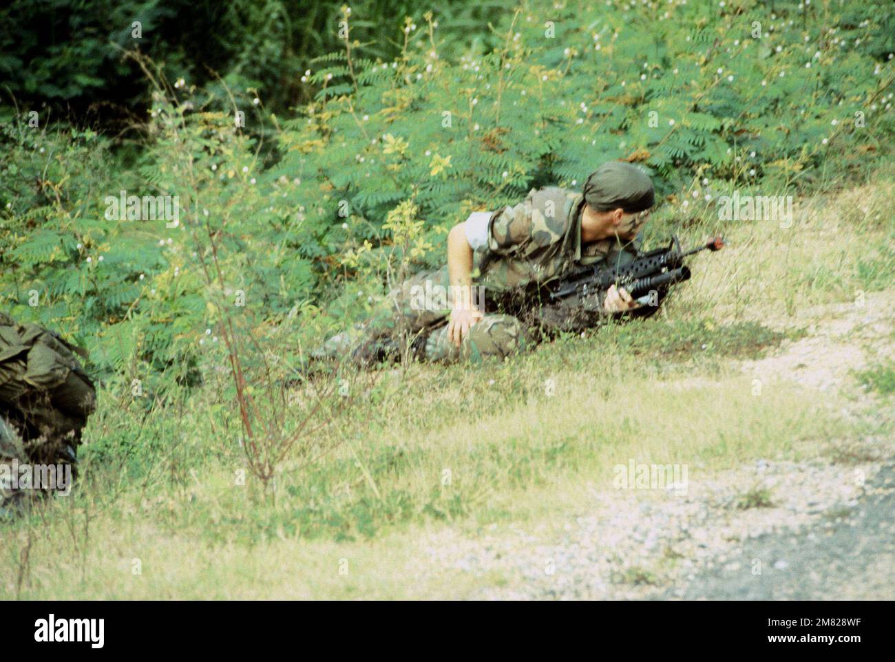 A soldier armed with an M16A1 rifle, equipped with an M-203 grenade ...