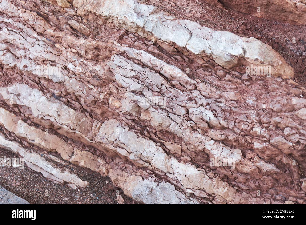 Stone texture and background. Sedimentary rocks. Natural corrugated ...