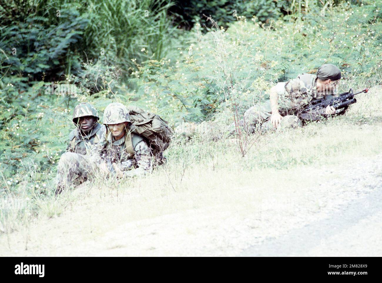Soldiers take cover in high grass as they participate in the joint U.S ...