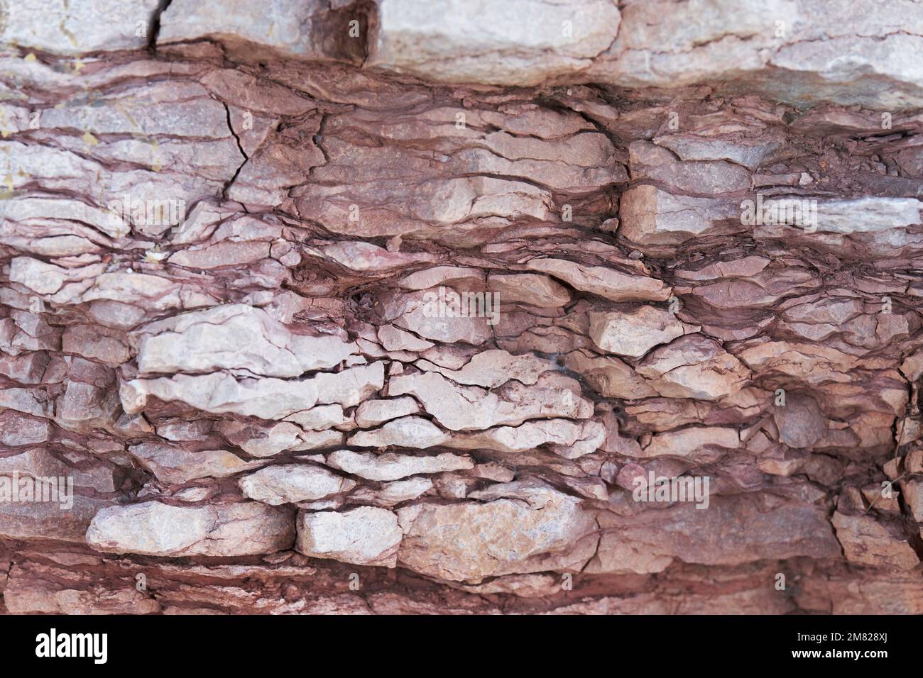 Stone texture and background. Sedimentary rocks. Natural corrugated ...