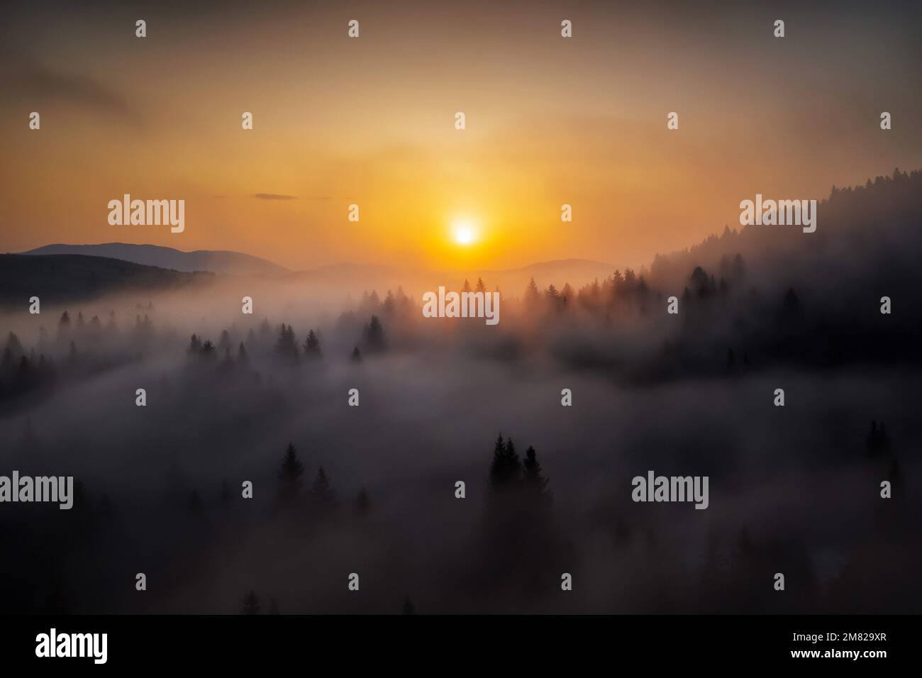 Beautiful misty morning fog between hi-res stock photography and images ...