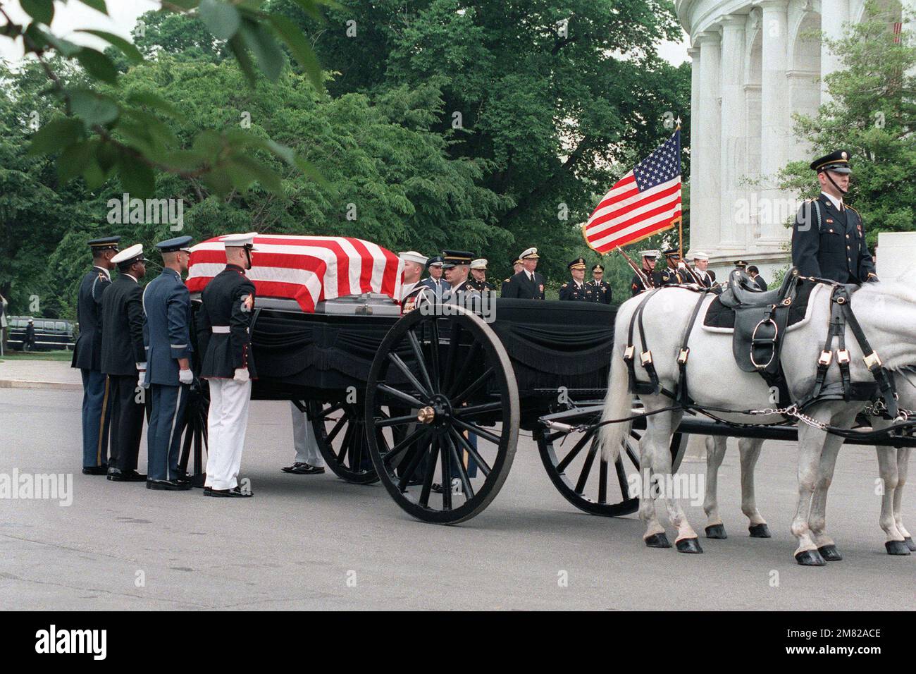 A joint services casket team prepares to carry the casket of the ...