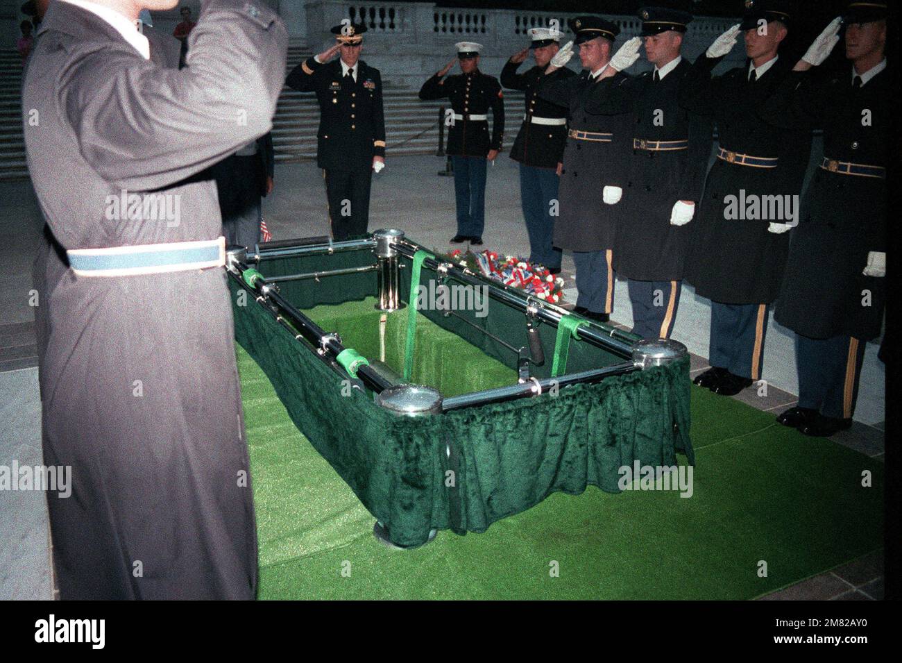 Members of the 3rd Infantry (The Old Guard) stand by and salute as the ...