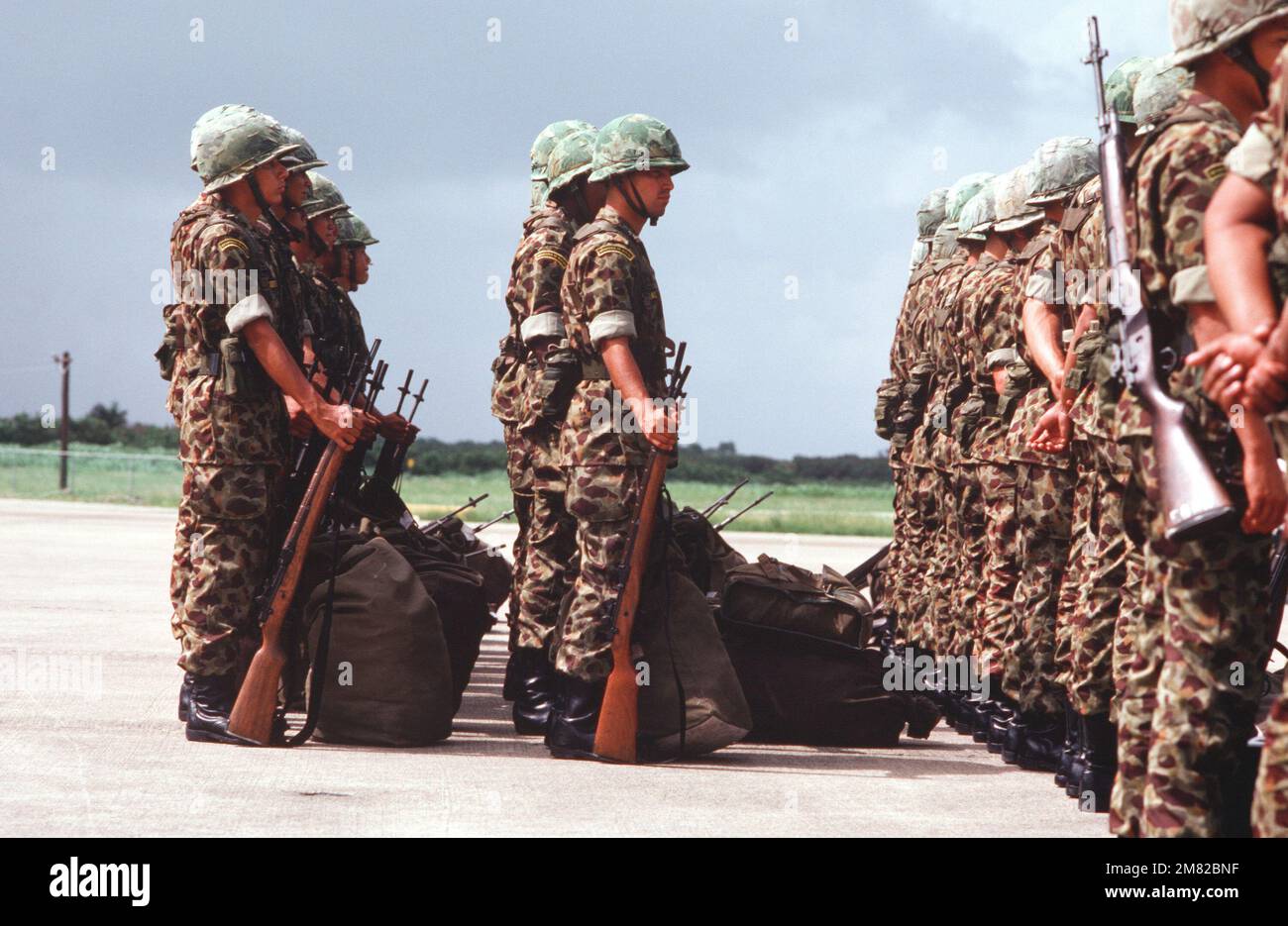 Members of Colombia's Infanteria De Marina (Marine Corps) stand at ...