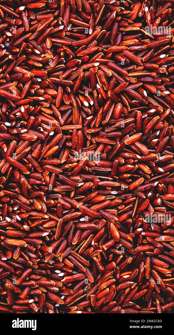 Wild raw red rice groats, food background texture, top view vertical ...
