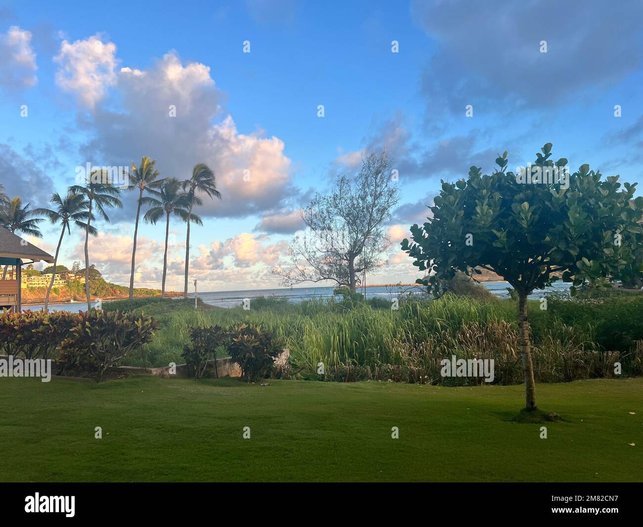 Oceanside photography hi-res stock photography and images - Alamy