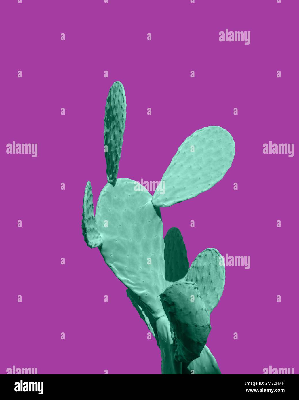 Fashion neon tropical green cactus. Minimal trendy surrealistic still ...