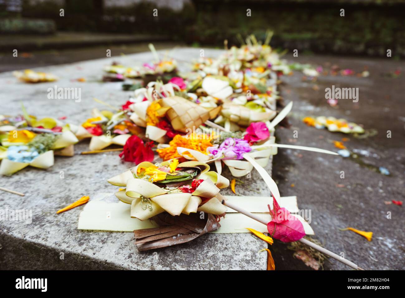 A closeup of flowers offerings lying on granite surface in a temple in ...