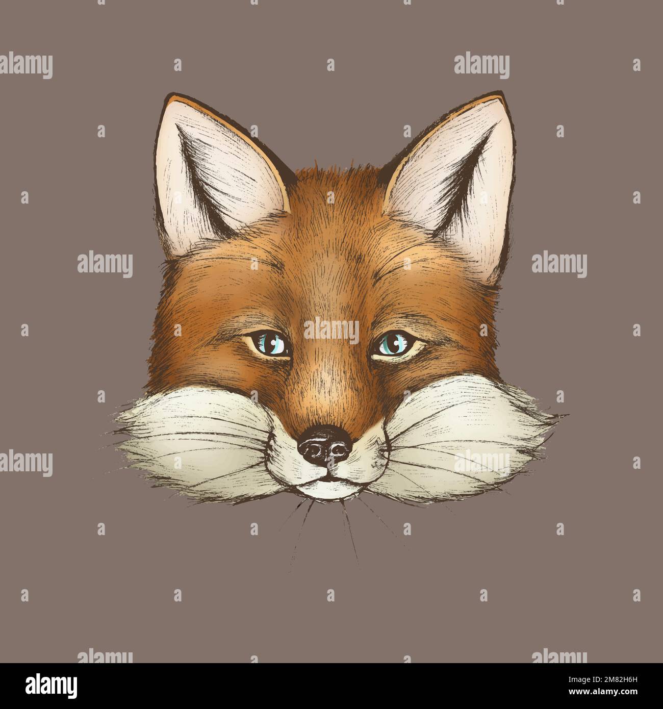 Vintage Fox Face Illustration