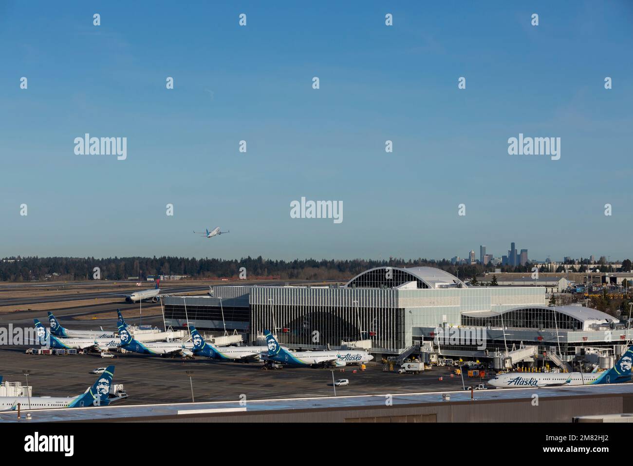 A United Airlines 737-800 takes off at Seattle-Tacoma International ...