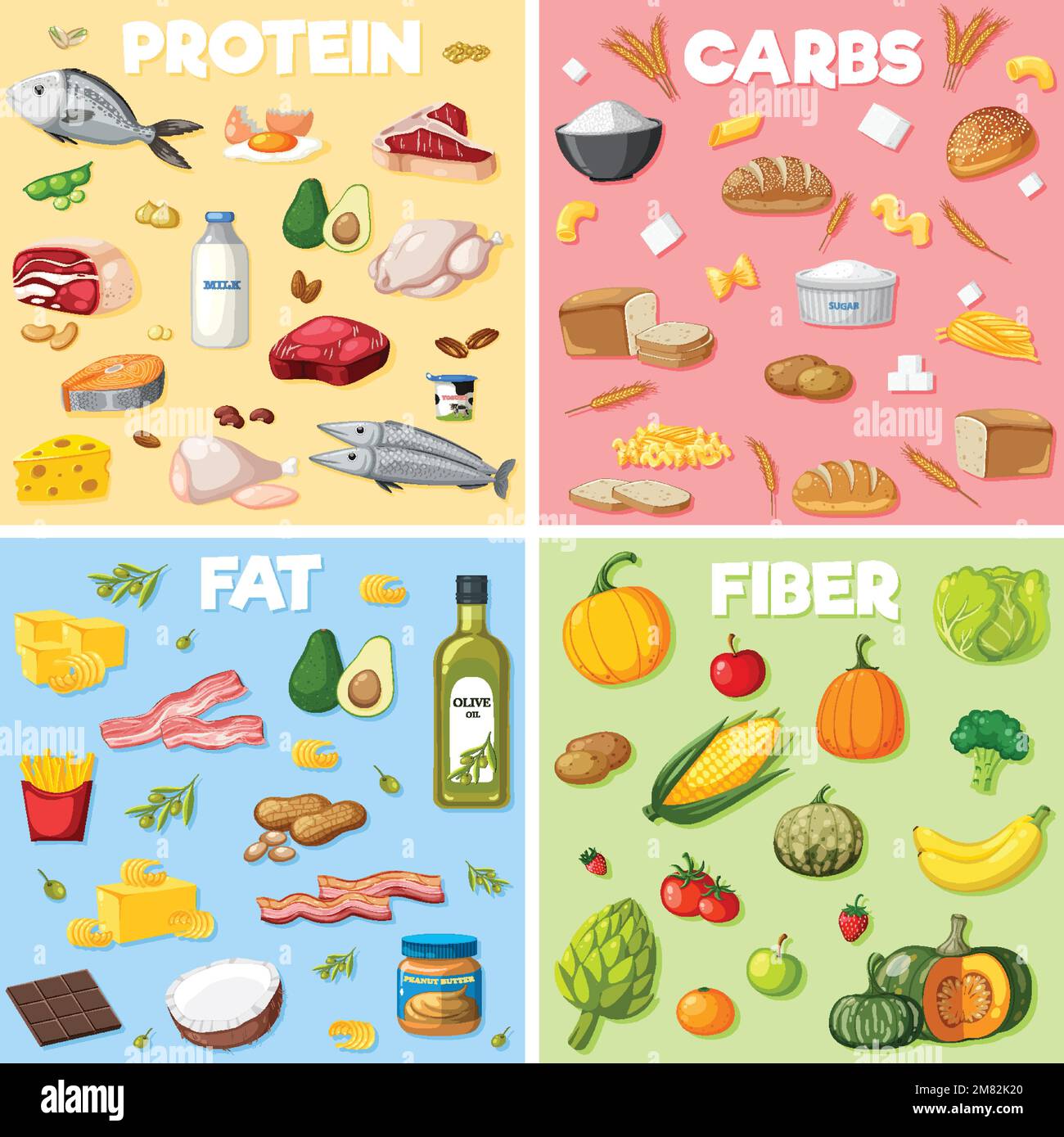 The four main food groups illustration Stock Vector Image & Art - Alamy