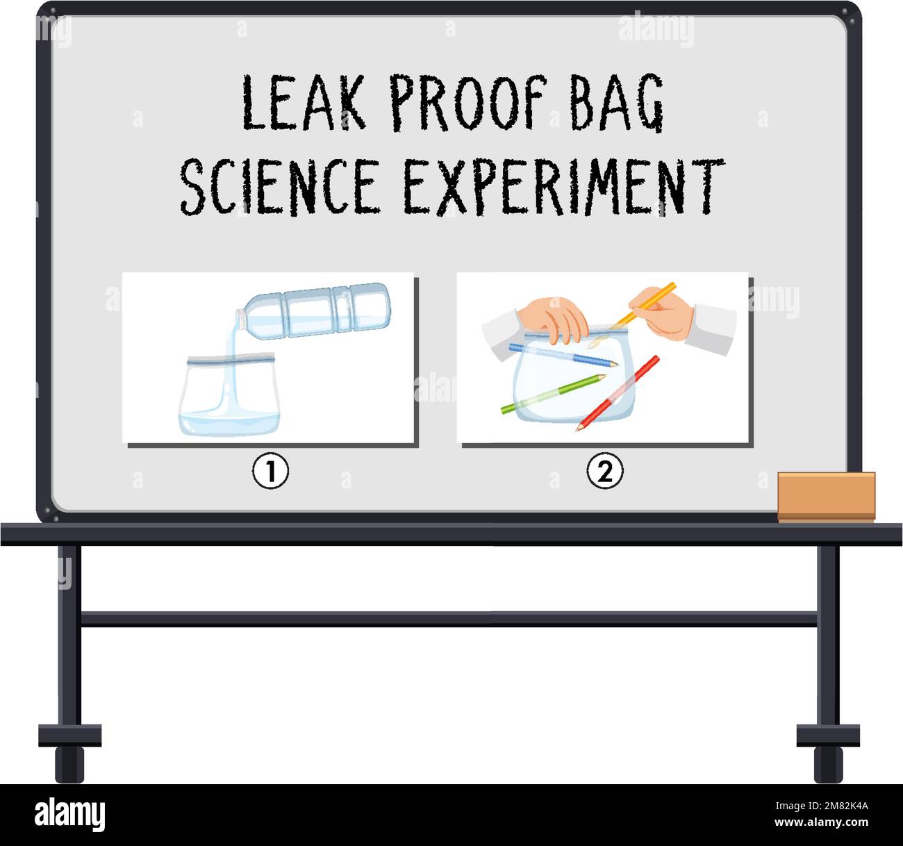 Leak proof bag science experiment illustration Stock Vector Image & Art ...