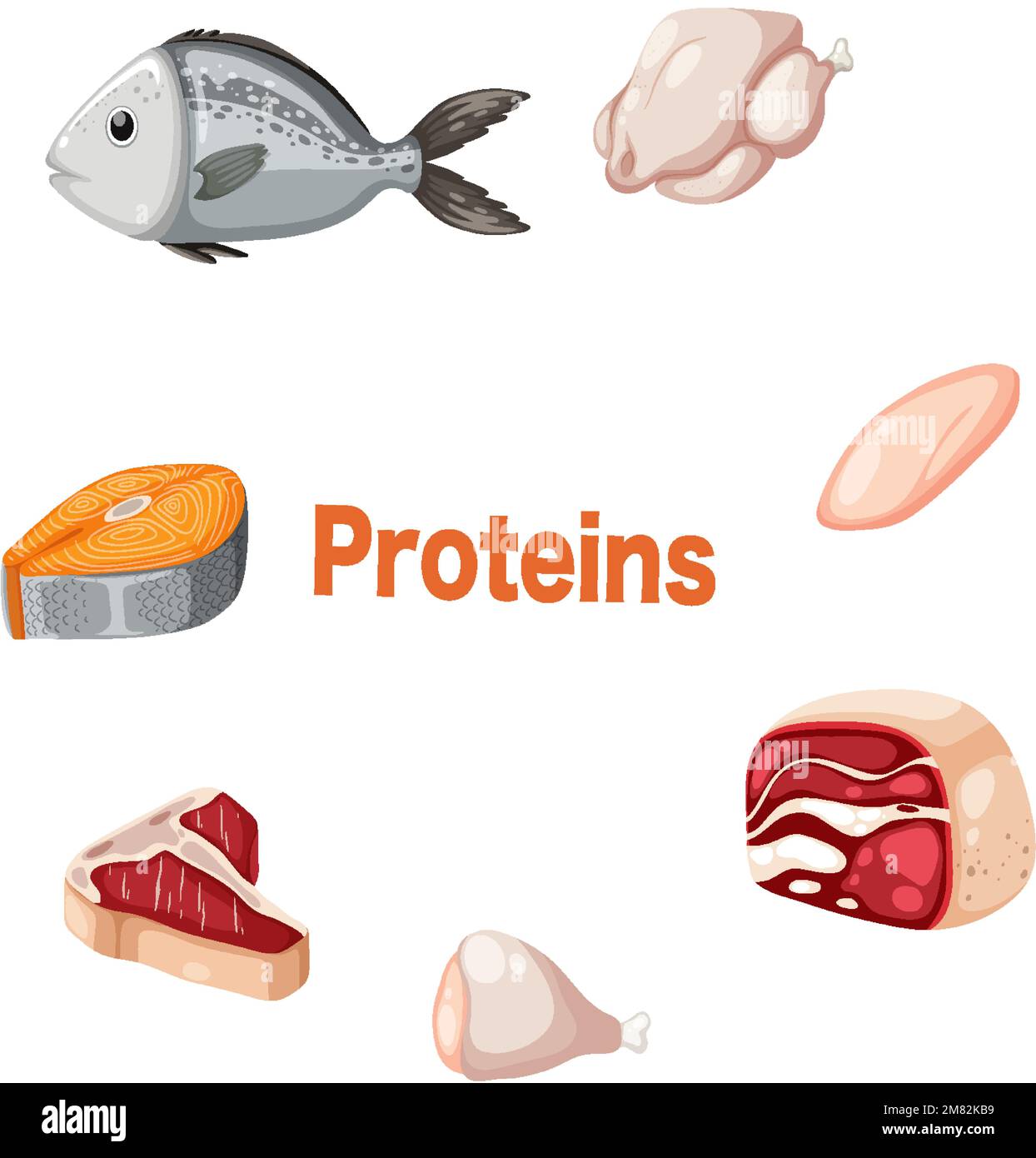 Meats surrounding proteins text illustration Stock Vector Image & Art ...
