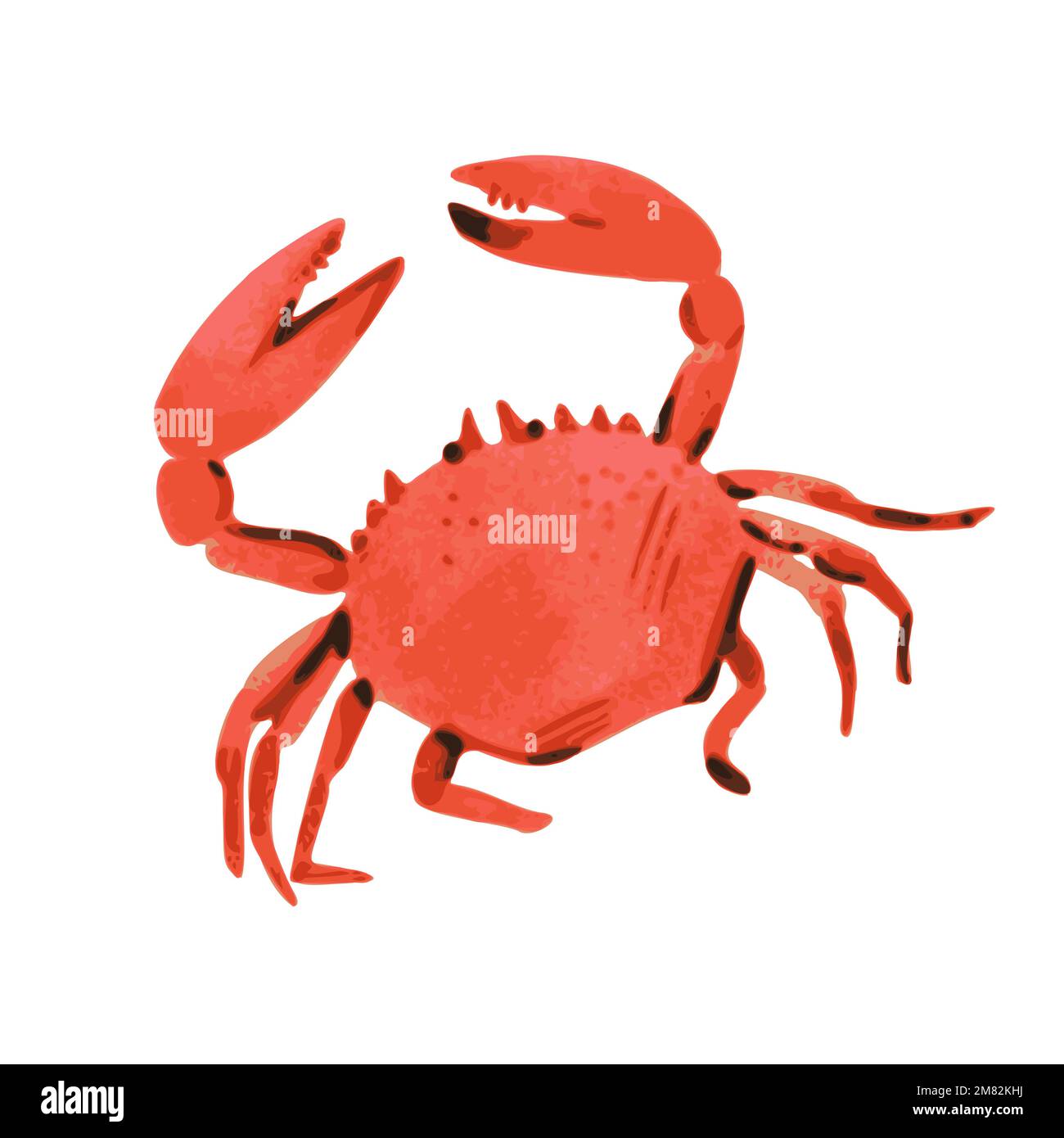 Crab Watercolor Illustration at Sandie Ambler blog