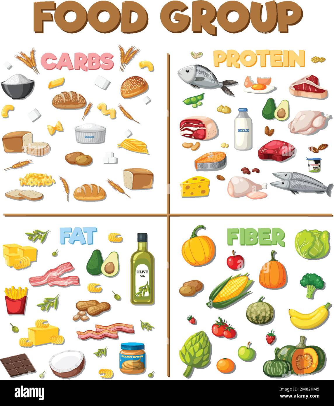 The four main food groups illustration Stock Vector Image & Art - Alamy