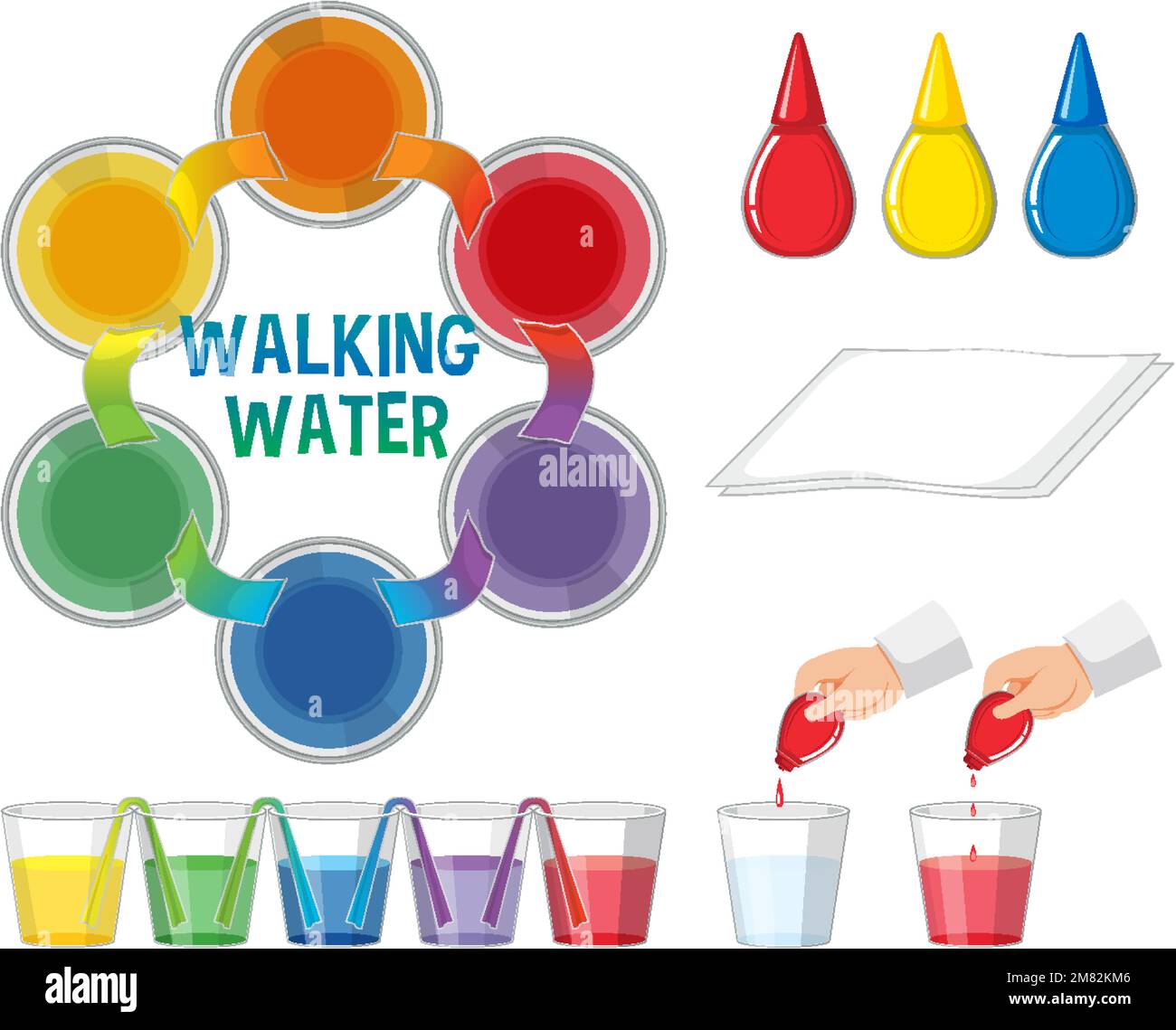 Rainbow walking water science experiment illustration Stock Vector ...