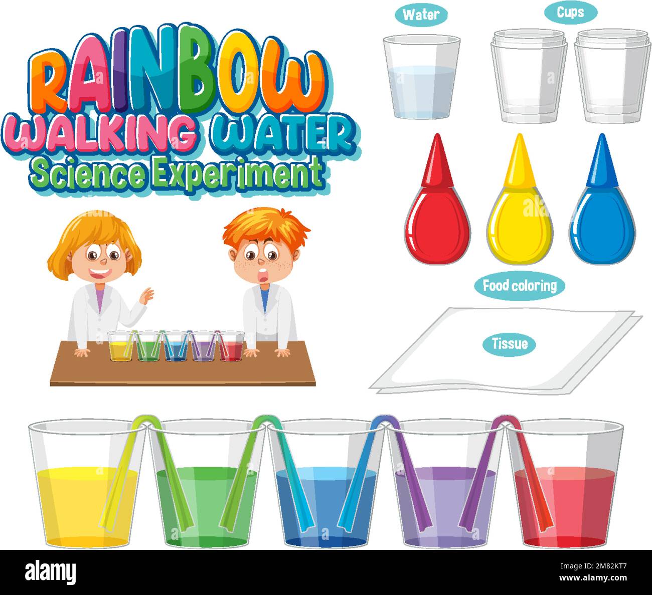 Rainbow walking water science experiment illustration Stock Vector ...