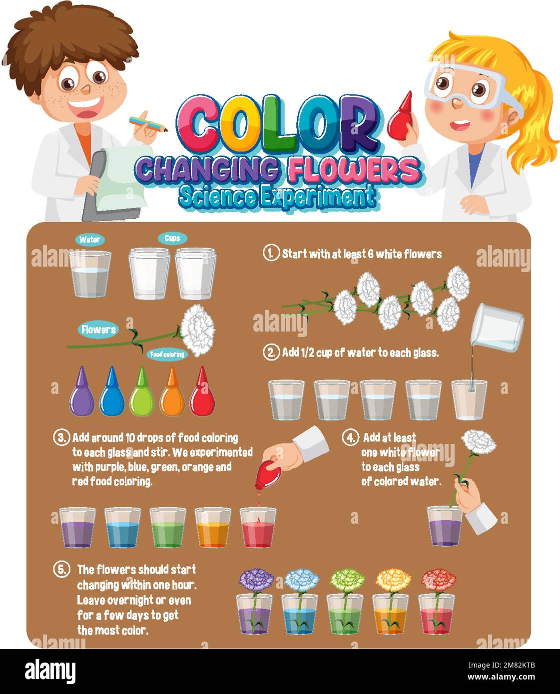 Color Changing Flowers Science Experiment illustration Stock Vector ...