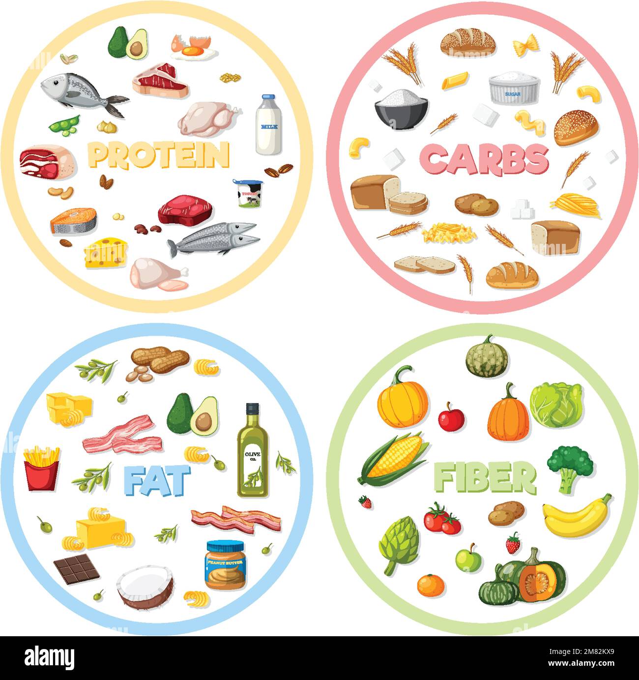 Protein food groups Stock Vector Images - Alamy