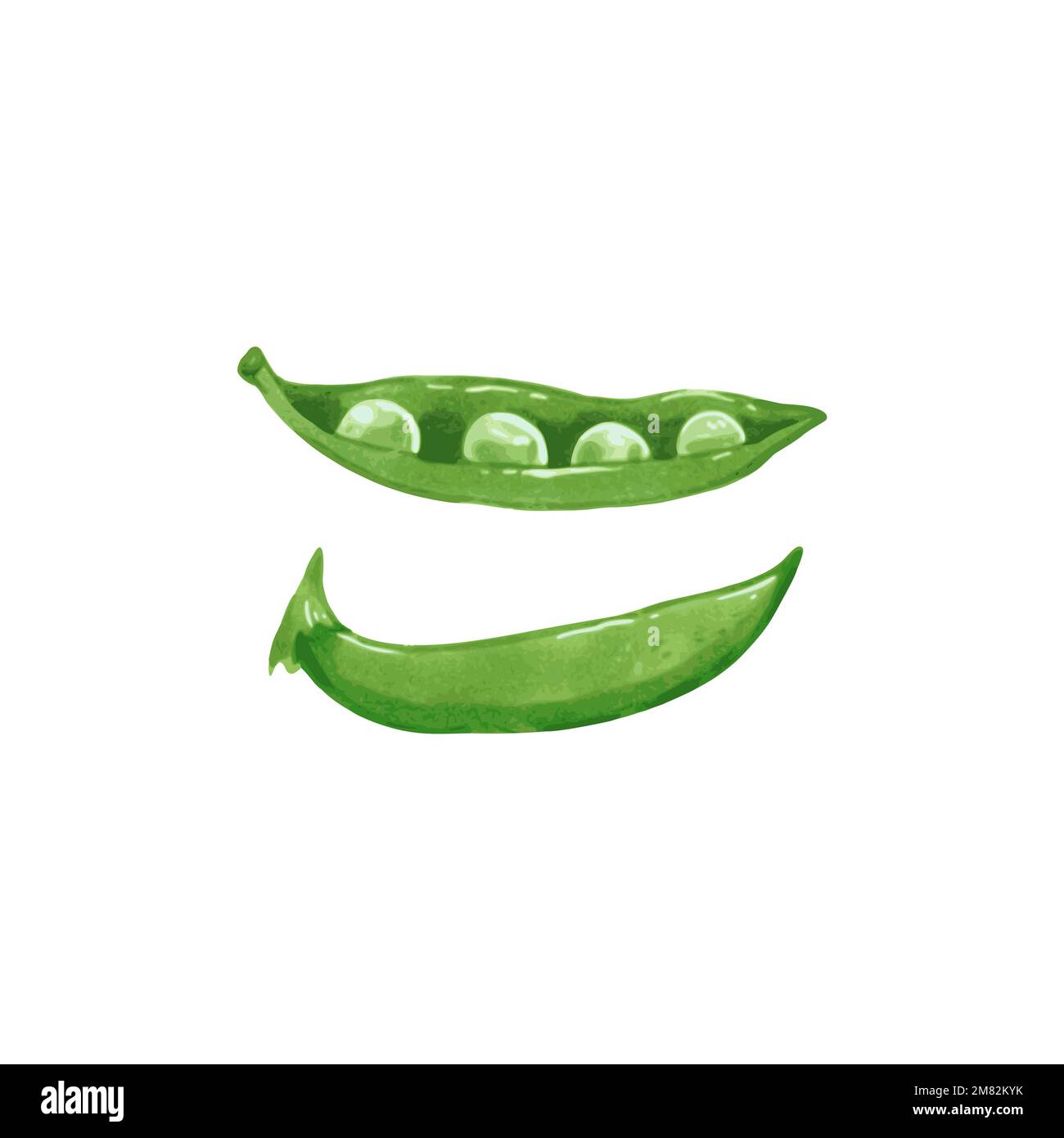 Cartoon Peas Drawing