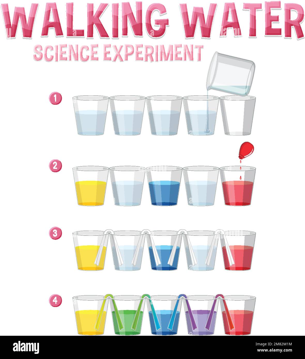 Walking Water Science Experiment illustration Stock Vector Image & Art ...