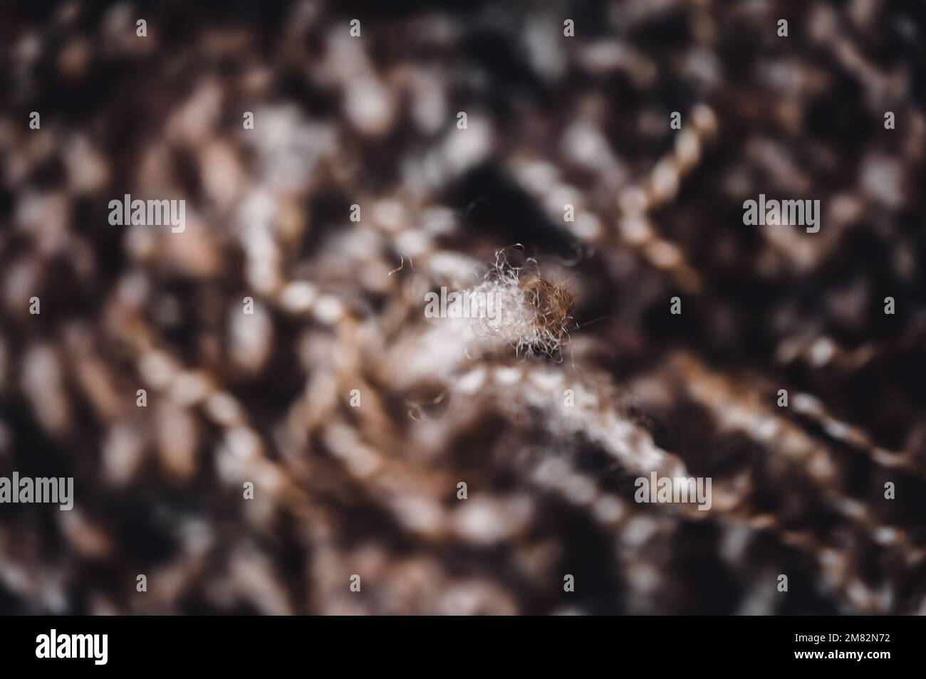 Loose carpet threads coming out of a seam Stock Photo - Alamy