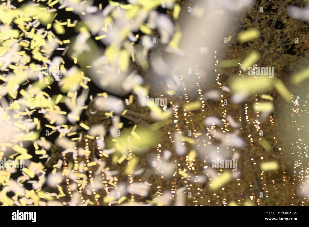 Paris, France. 20th Nov, 2022. Confetti launched during the lighting of ...