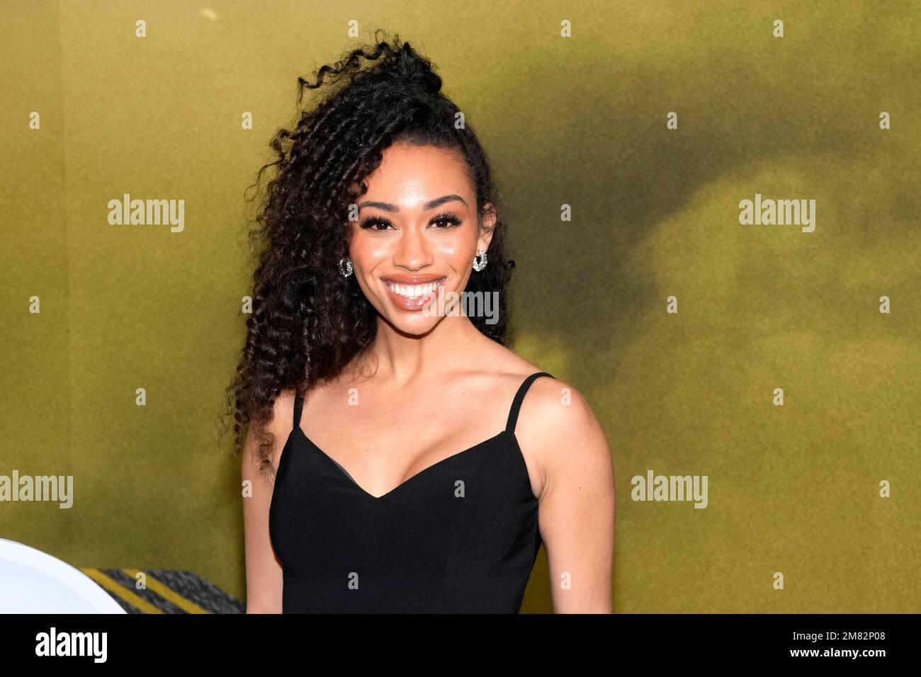 Taryn Delaine Smith attends a "Plane" screening at AMC Lincoln Square ...