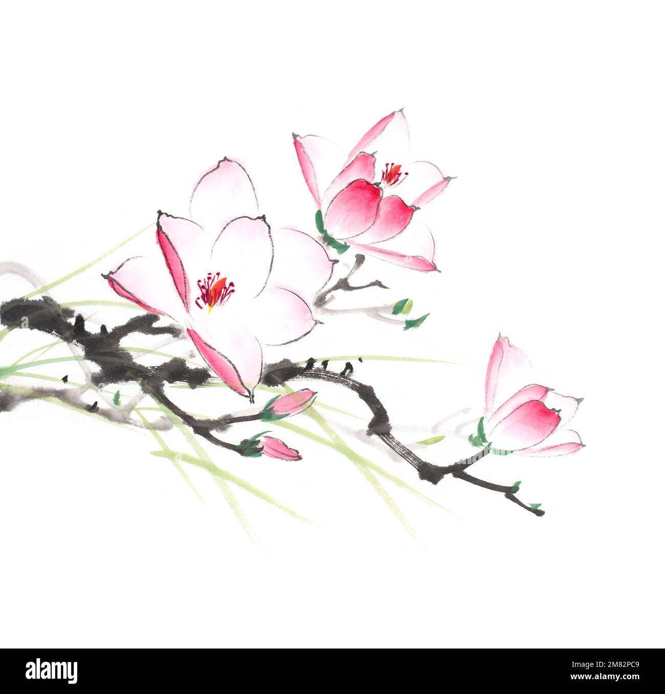 Chinese painting of blossoming magnolia tree Stock Photo - Alamy