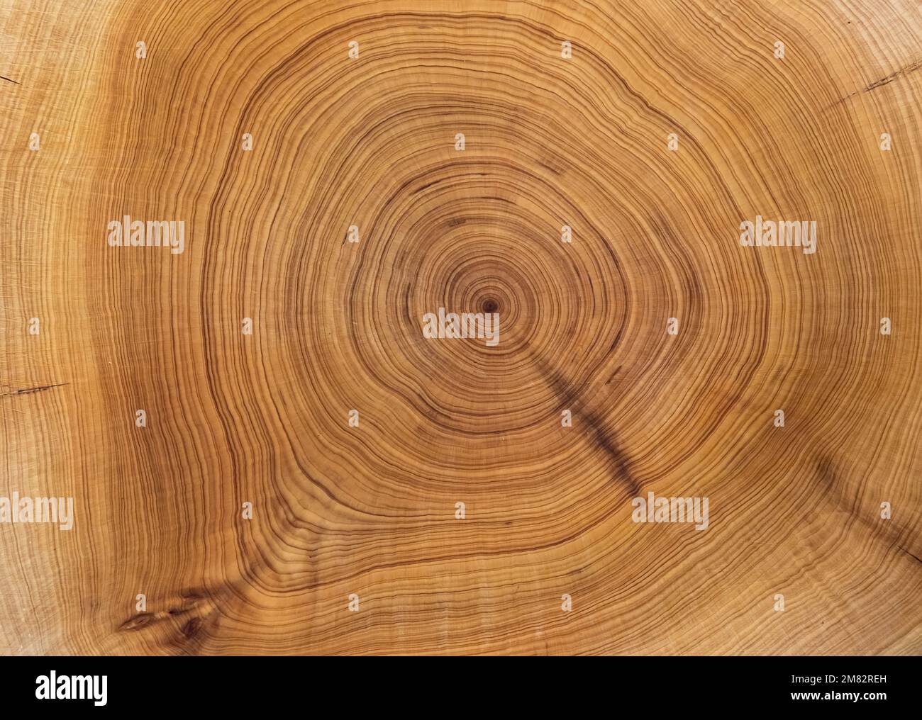 round wood textured background for decoration Stock Photo - Alamy