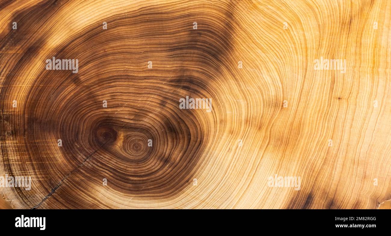 round wood textured background for decoration Stock Photo - Alamy