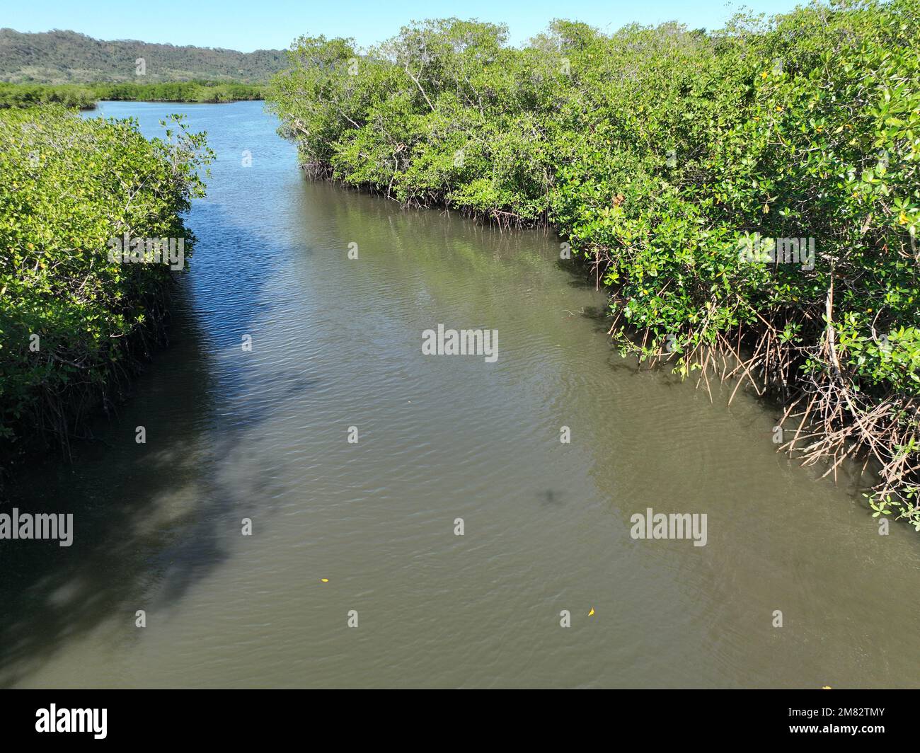 Golfo de Nicoya, Isla Venado, mangrove and other tropical islands in ...