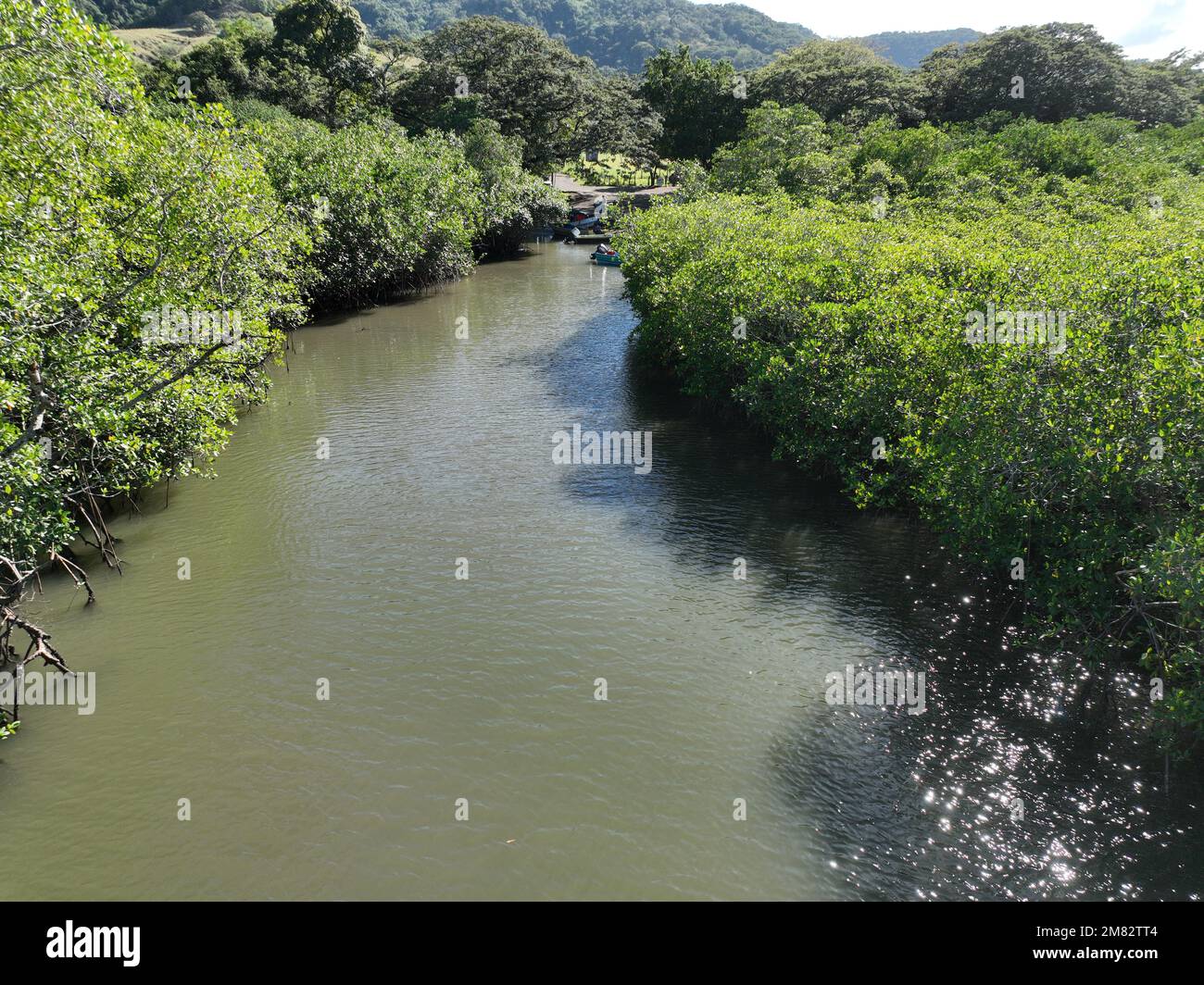 Golfo de Nicoya, Isla Venado, mangrove and other tropical islands in ...