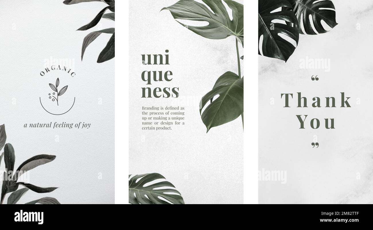 Marketing minimalist banner design template vector set Stock Vector ...