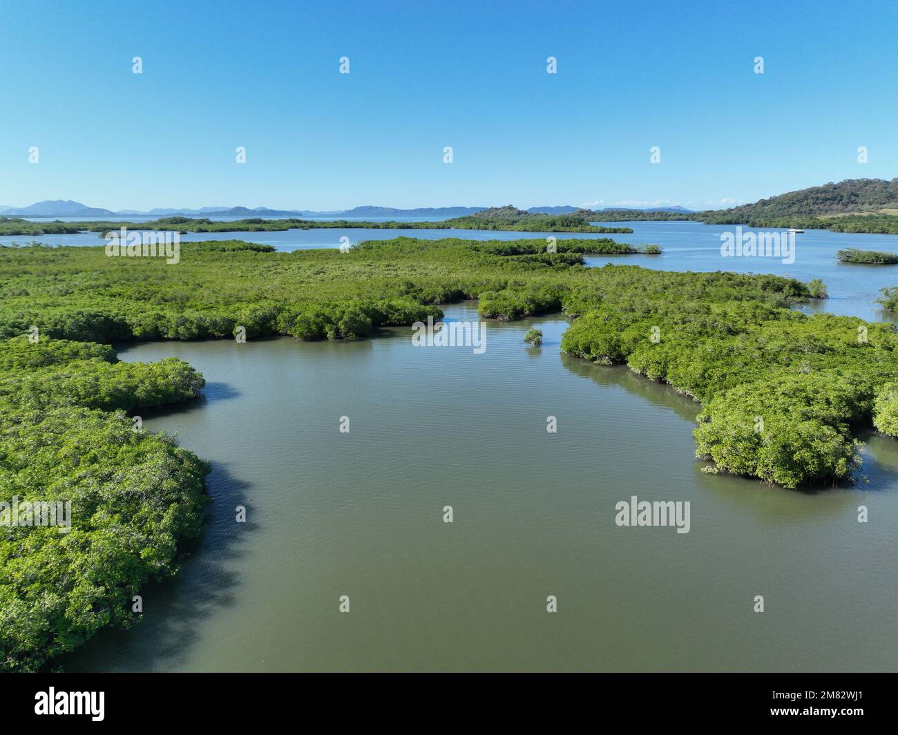 Tropical islands and mangrove in the Golfo de Nicoya, Isla Venado, in ...