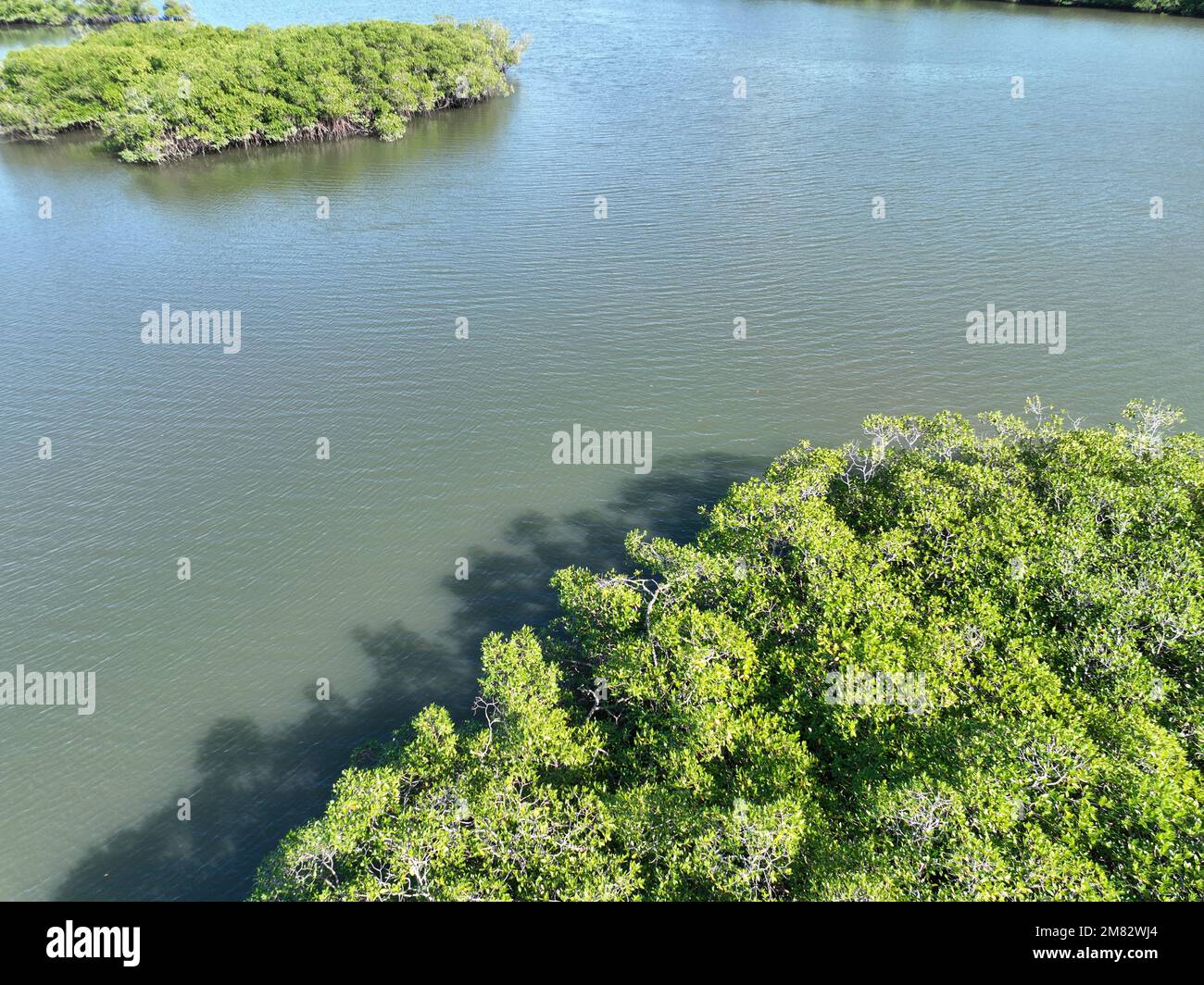 Tropical islands and mangrove in the Golfo de Nicoya, Isla Venado, in ...
