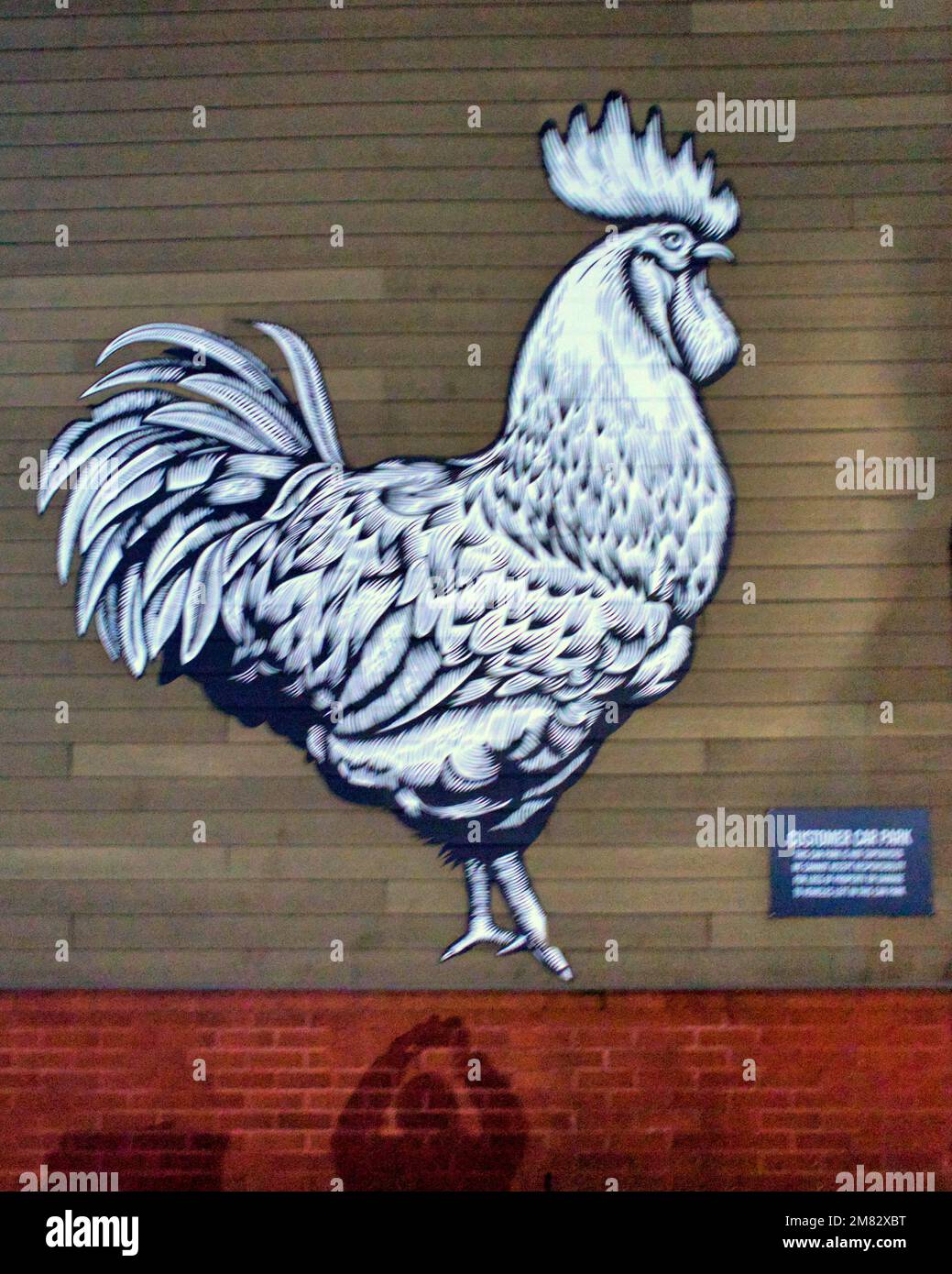 KFC Kentucky fried chicken cock advert chicken logo drawing on building ...